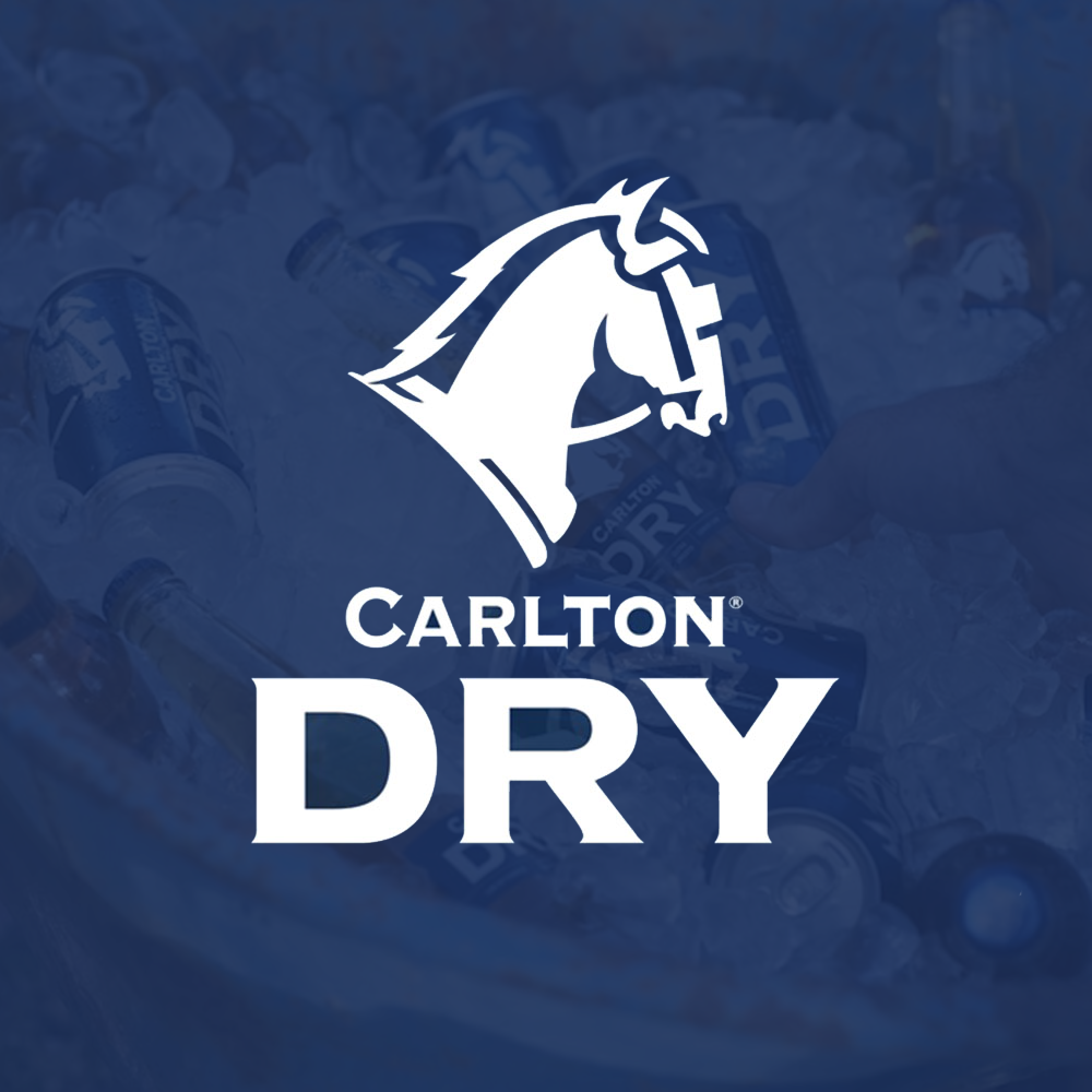 Carlton Dry – Frothies